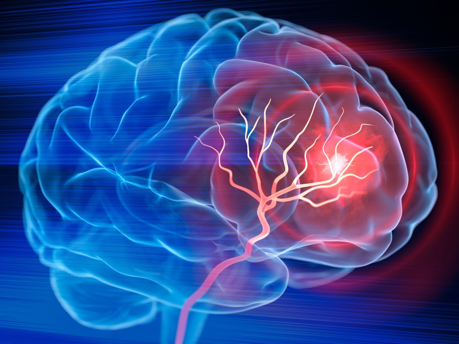 Scientists discover how the brain encodes danger - Kees