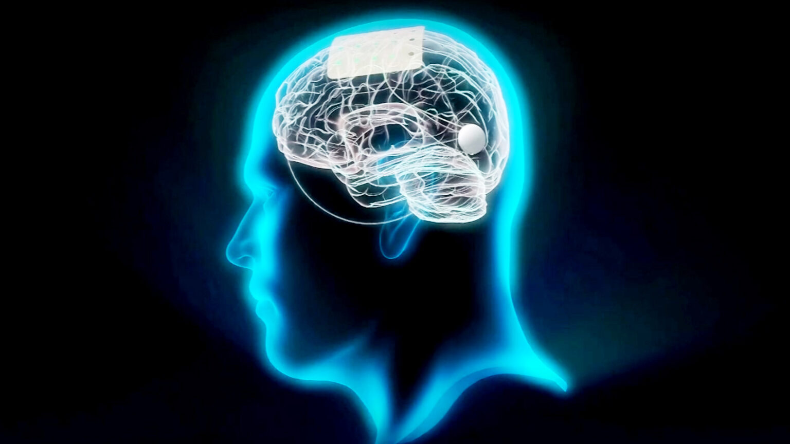 How does the human brain get rid of waste? - Kees
